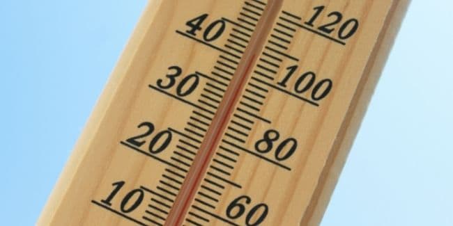 Why I Never Trust An Air Fryer Cooking Time Chart